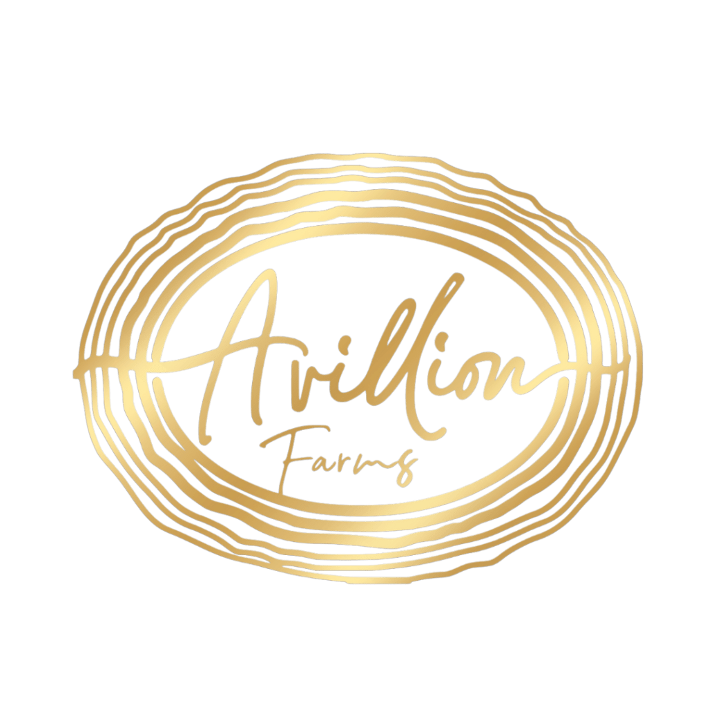 Luxury farmhouses - Avillion Farms